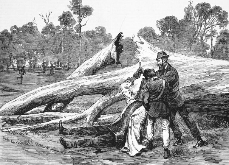 Ned Kelly: The Outlaw Who Became Australia’s Most Legendary Bushranger ...